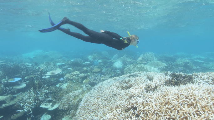 EthicalJobs.com.au wants to match your donation to the Climate Council ...