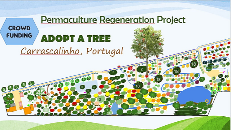 Adopt A Tree - Permaculture Regeneration Project in Portugal | Chuffed ...