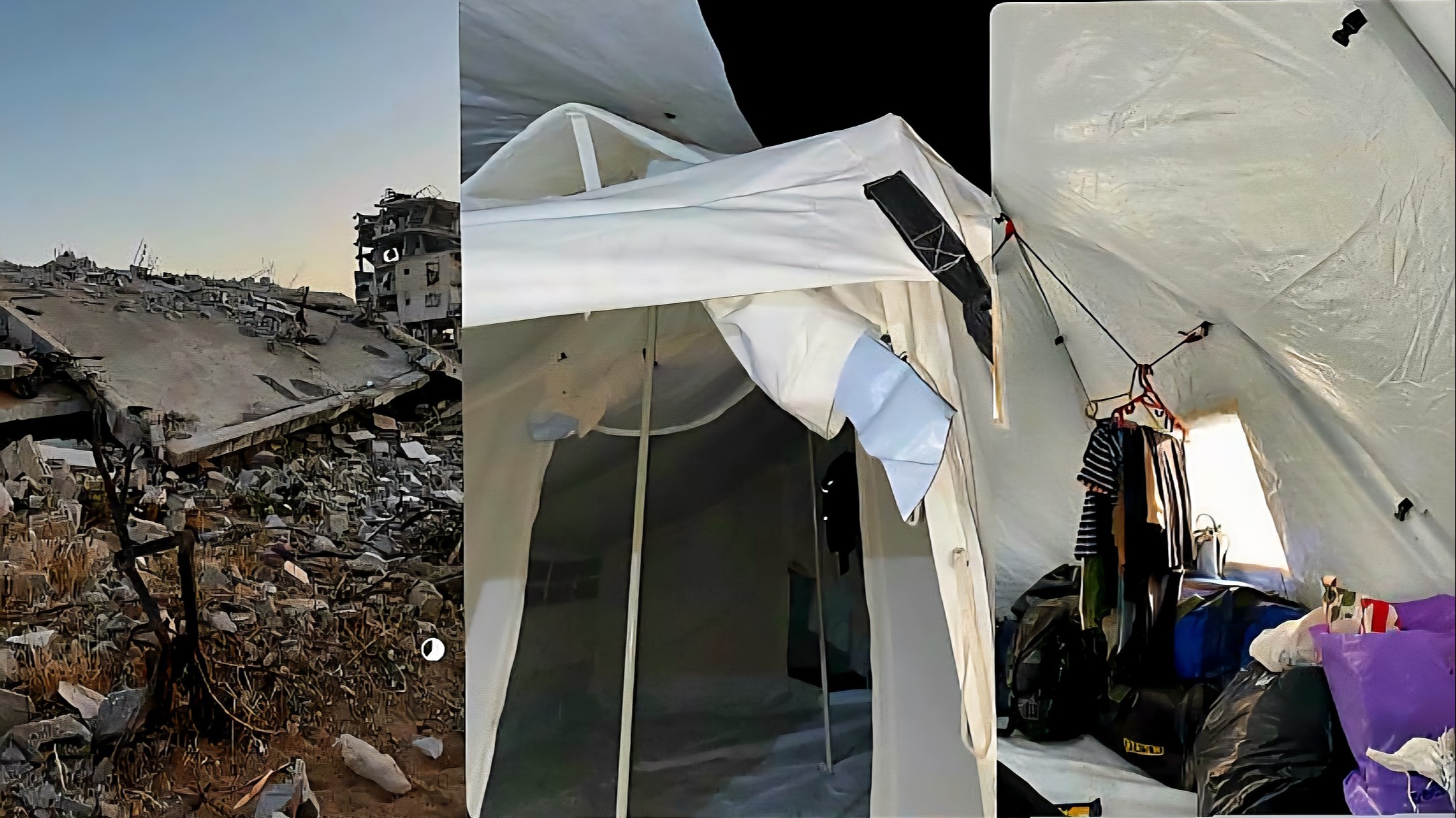 Lara Mohammed | Chuffed | Non-profit charity and social enterprise ...