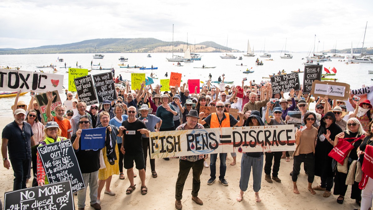 Protect Tasmania’s waterways from Industrial Salmon Farm Pollution ...