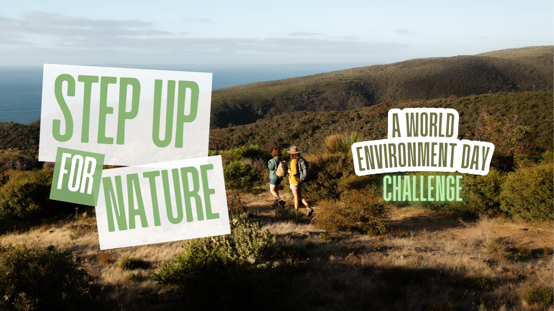 Step Up for Nature: A World Environment Day Challenge | Chuffed | Non ...