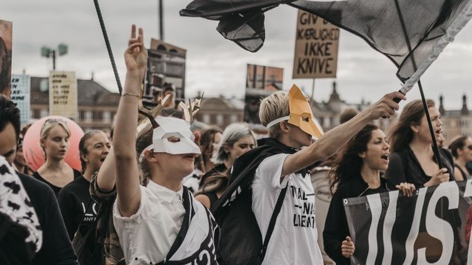 Documenting history: The animal rights movement | Chuffed | Non-profit ...