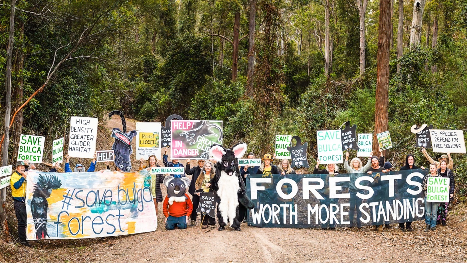 SAVE BULGA FOREST | Chuffed | Non-profit charity and social enterprise ...