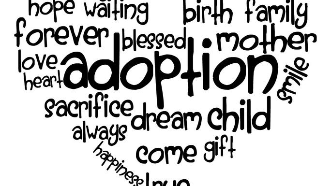 Adoption Puzzle Fundraiser! | Chuffed | Non-profit charity and social ...