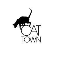 Cat Town COVID-19 Fund | Chuffed | Non-profit charity and social ...