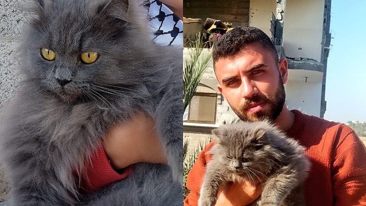 Help save Yousef, his family, and his cat Biso | Chuffed | Non-profit ...