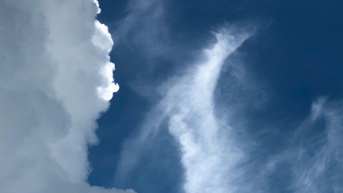 Rare Is Not A Good Thing When You’re Sick! | Chuffed | Non-profit ...