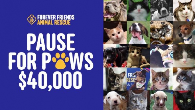 Pause for Paws! | Chuffed | Non-profit charity and social enterprise ...