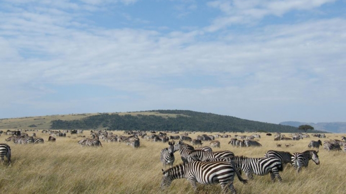 Go Going to BuildON in Malawi | Chuffed | Non-profit charity and social ...