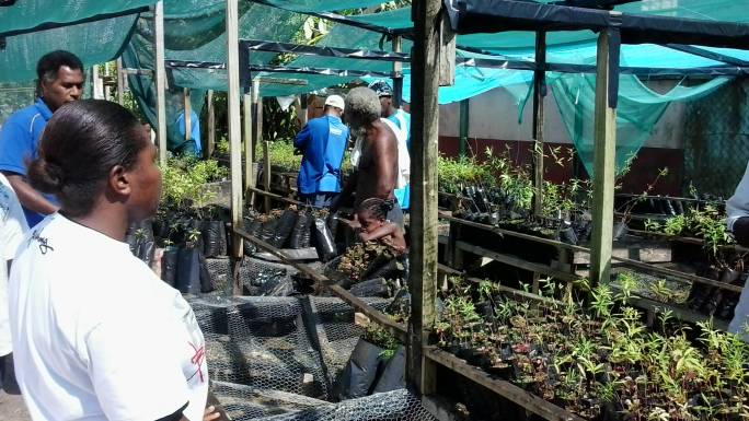 Rebuilding Vanuatu Forestry | Chuffed | Non-profit charity and social ...