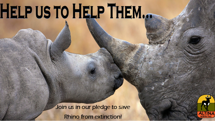 The Top 10 Animal Welfare Crowdfunding Campaigns | The Chuffed.org Academy