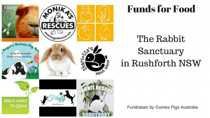 Funds for Food - The Rabbit Sanctuary - Rushforth | Chuffed | Non ...