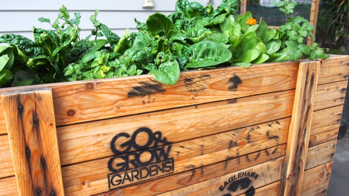 Edible oasis in a box - helping Bendigo grow and share healthy food ...