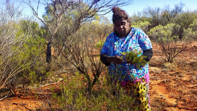 HELP ABORIGINAL HEALERS - NGANGKARI - REPRESENT AUSTRALIA IN PERU ...