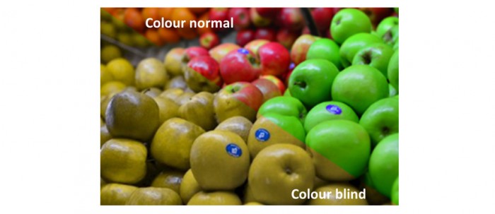 Colour Discrimination | Chuffed | Non-profit charity and social ...