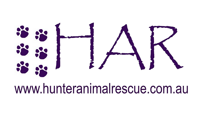 Help Bowie | Chuffed | Non-profit charity and social enterprise fundraising