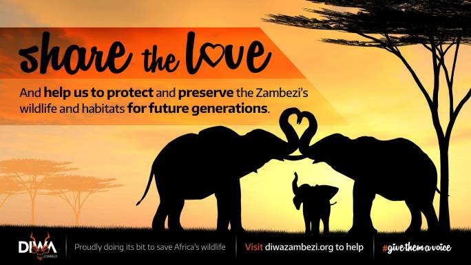 Giving Africa's wildlife a voice | Chuffed | Non-profit charity and ...