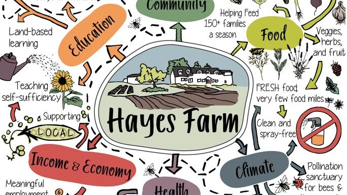 Our Eco-Evolving Community: Hayes Farm | Chuffed | Non-profit charity ...