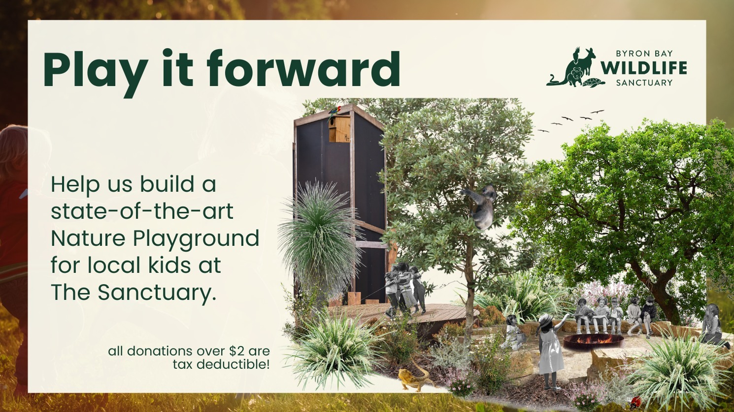 Play it Forward: Nature Playground at The Byron Bay Wildlife Sanctuary ...