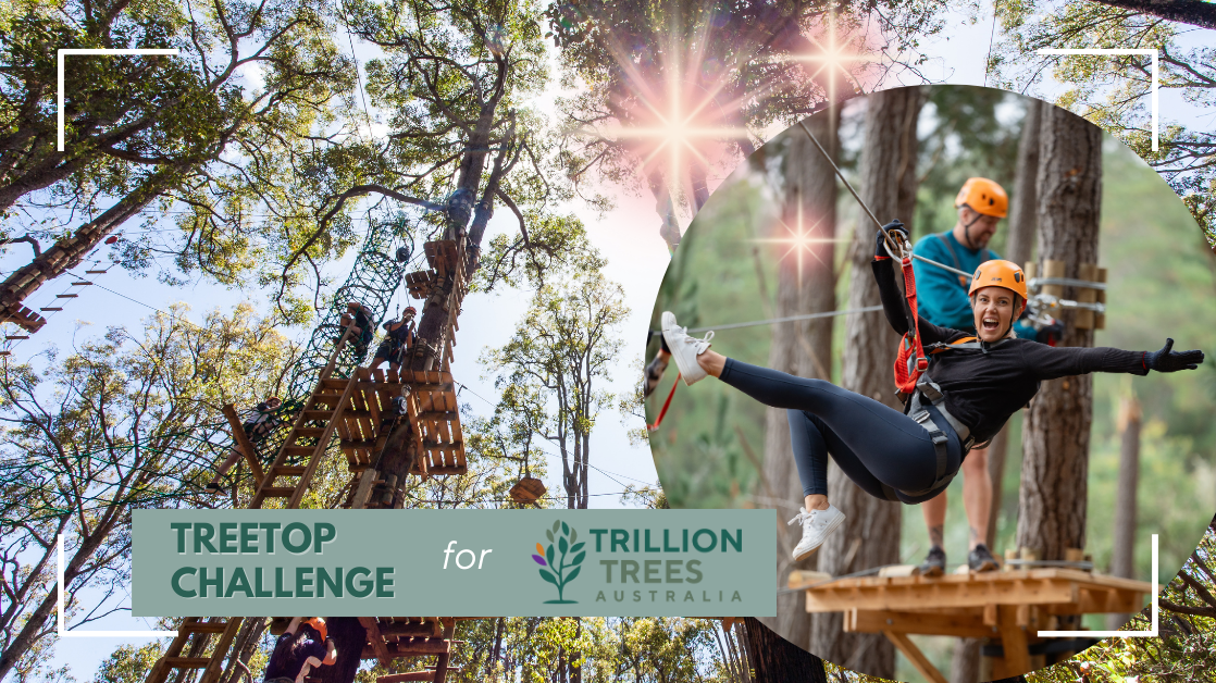 Treetop Challenge for Trillion Trees | Chuffed | Non-profit charity and ...