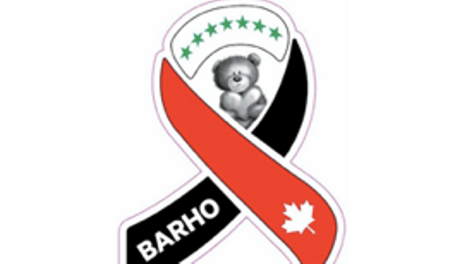 Barho Charity Hockey Game with Jill Saulnier & Friends | Chuffed | Non ...