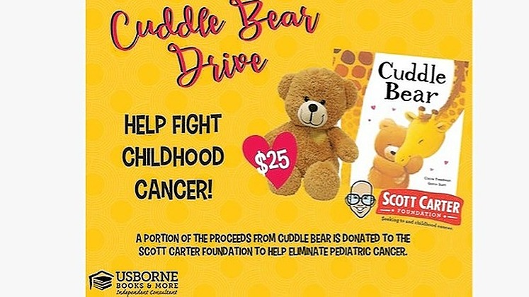 Cuddle bear book drive for Alpha Family Center | Chuffed | Non-profit ...
