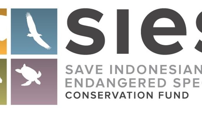 Annika Hallinan | Chuffed | Non-profit charity and social enterprise ...