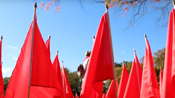 Red Ribbon Day - 2019 Drug Prevention Walk | Chuffed | Non-profit ...